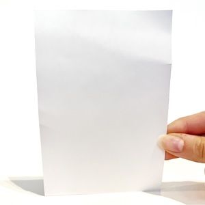 Toronto Maple Leafs | Other | Toronto Maple Leafs Hockey Player ...